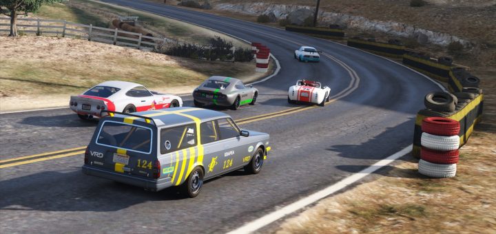 Developer Settings - GTA 5 Mods | Grand Theft Auto 5 Developer Settings ...